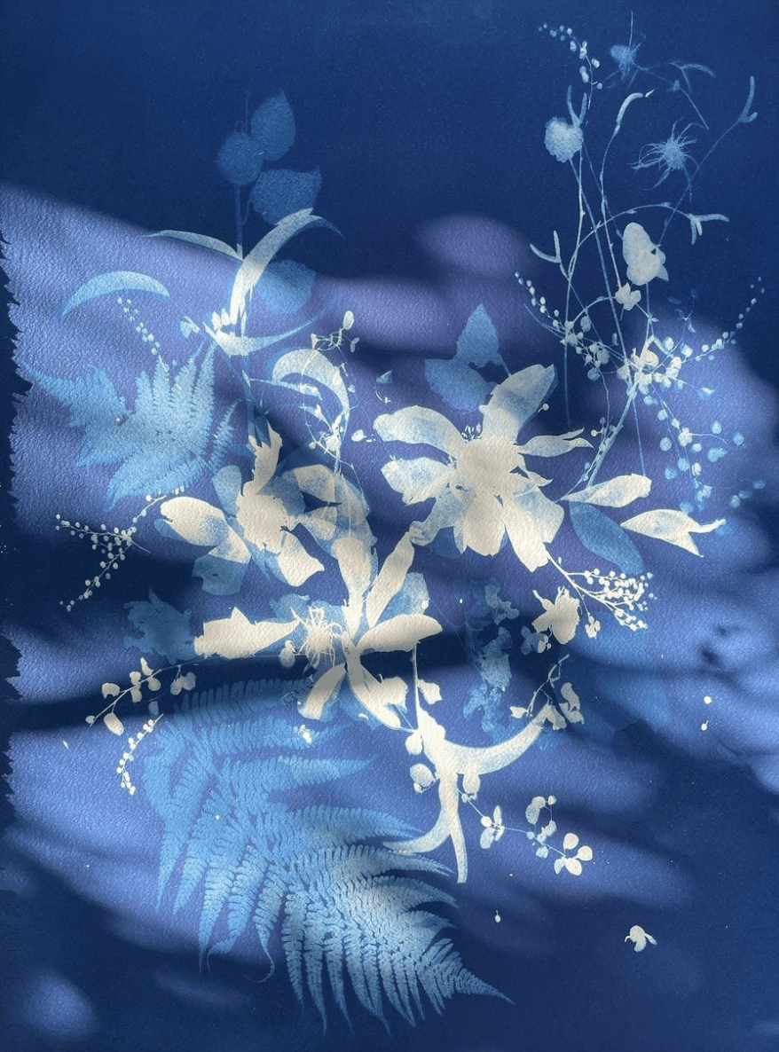 Cyanotype Workshop - Women & Their Work