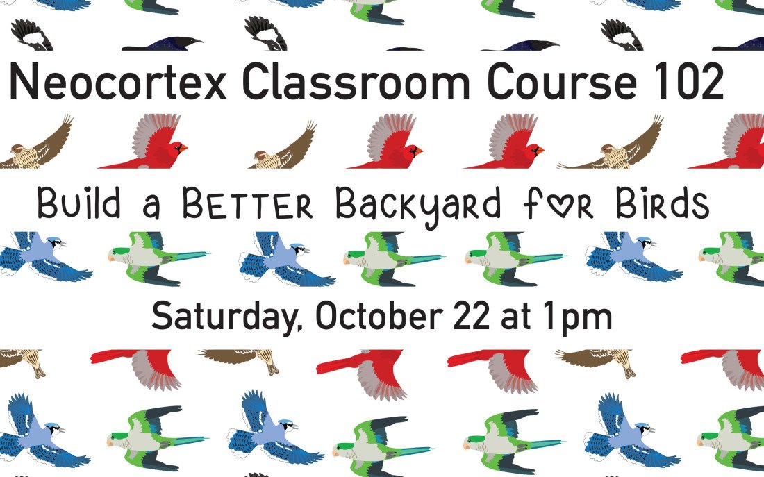 Neocortex Course 102: Build a Better Backyard - Women & Their Work
